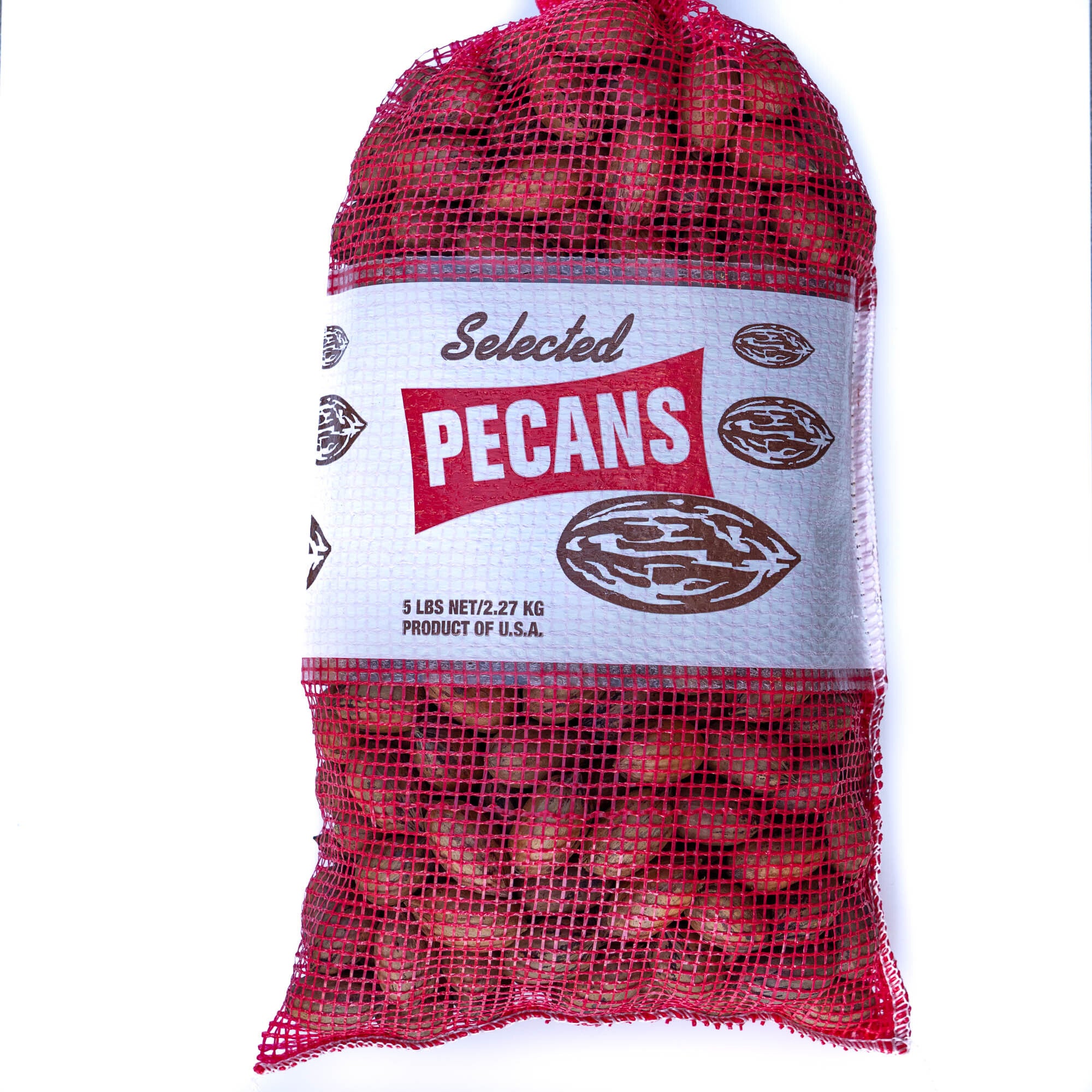 10 lbs in the shell papershell pecans | VALLEY GROVE PECANS